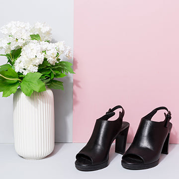 NY Collection Home Page – NY COLLECTION